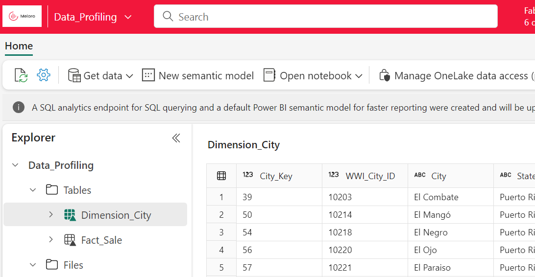 Using Microsoft Fabric for In-Depth Data Profiling – The Meloro Fabric Blog