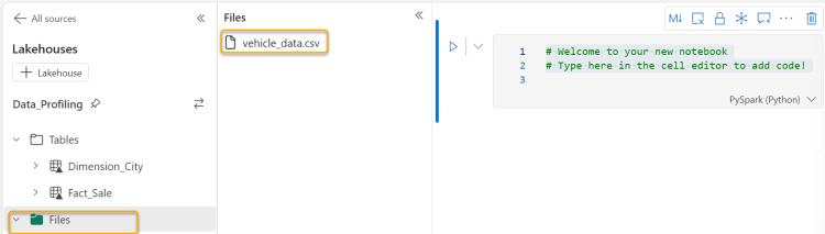Using Microsoft Fabric for In-Depth Data Profiling – The Meloro Fabric Blog
